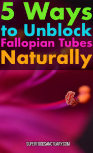 How to Unblock Fallopian Tubes Naturally – 5 Effective Ways - Superfood ...
